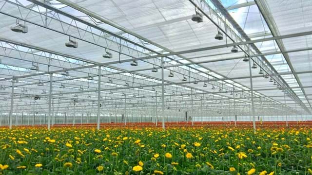 Horizontal screens - Huisman Screen Systems